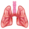 🫁 Lungs Emoji
