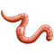 🪱 Worm Emoji