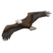 🦅 Eagle Emoji