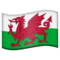 🏴󠁧󠁢󠁷󠁬󠁳󠁿 Flag for Wales Emoji