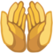 🤲 Palms Up Together Emoji