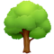🌳 Deciduous Tree Emoji