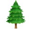 🌲 Evergreen Tree Emoji