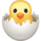 🐣 Hatching Chick Emoji