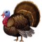 🦃 Turkey Emoji