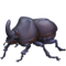 🪲 Beetle Emoji