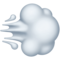 💨 Dash Symbol Emoji