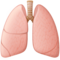 🫁 Lungs Emoji
