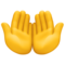 🤲 Palms Up Together Emoji