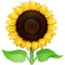 🌻 Sunflower Emoji