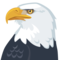 🦅 Eagle Emoji