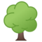 🌳 Deciduous Tree Emoji