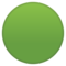 🟢 Large Green Circle Emoji