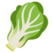 🥬 Leafy Green Emoji