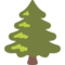 🌲 Evergreen Tree Emoji