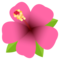 🌺 Hibiscus Emoji