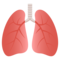 🫁 Lungs Emoji