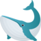 🐋 Whale Emoji