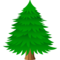 🌲 Evergreen Tree Emoji
