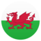 🏴󠁧󠁢󠁷󠁬󠁳󠁿 Flag for Wales Emoji