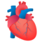 🫀 Anatomical Heart Emoji