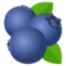 🫐 Blueberries Emoji