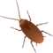 🪳 Cockroach Emoji