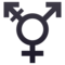 ⚧️ Transgender Symbol Emoji