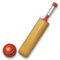 🏏 Cricket Bat and Ball Emoji