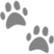 🐾 Paw Prints Emoji