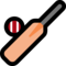 🏏 Cricket Bat and Ball Emoji