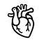 🫀 Anatomical Heart Emoji