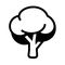 🌳 Deciduous Tree Emoji