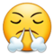 😤 Face with Look of Triumph Emoji