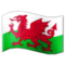 🏴󠁧󠁢󠁷󠁬󠁳󠁿 Flag for Wales Emoji