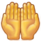 🤲 Palms Up Together Emoji
