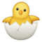 🐣 Hatching Chick Emoji