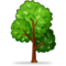 🌳 Deciduous Tree Emoji
