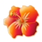 🌺 Hibiscus Emoji