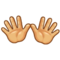 👐 Open Hands Sign Emoji