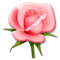 🌹 Rose Emoji