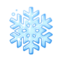 ️ Snowflake Emoji