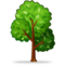 🌳 Deciduous Tree Emoji