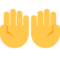 🤲 Palms Up Together Emoji