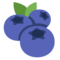 🫐 Blueberries Emoji