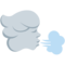 🌬️ Wind Blowing Face Emoji