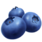 🫐 Blueberries Emoji