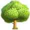 🌳 Deciduous Tree Emoji