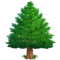 🌲 Evergreen Tree Emoji