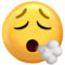 😮‍💨 Face Exhaling Emoji